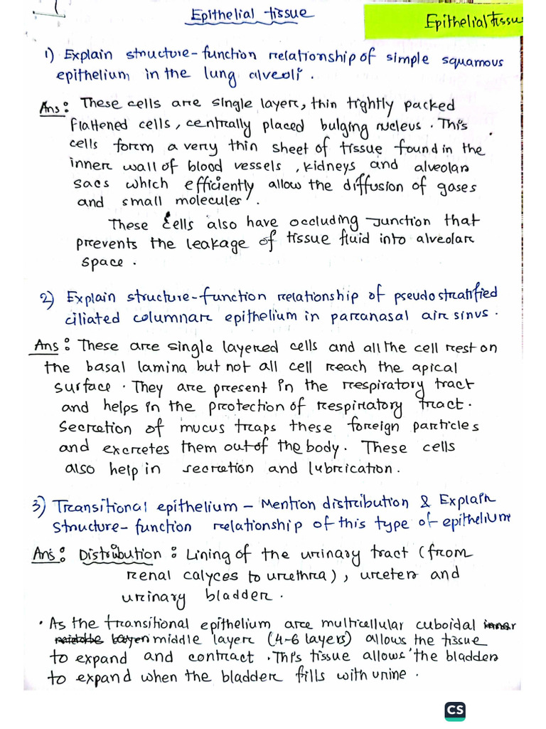 Epithelial Tissue (Board 1 Card Question) | PDF