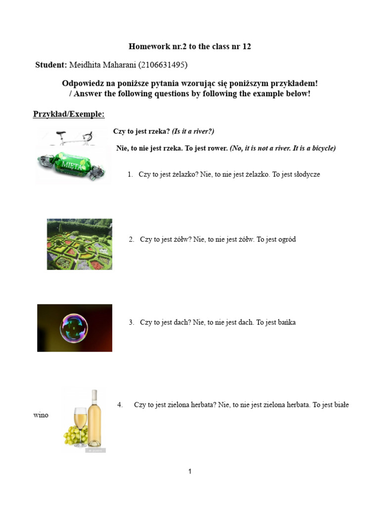 Homework nr.2 - Class nr.12 - Answer The Questions - Czy To Jest | PDF