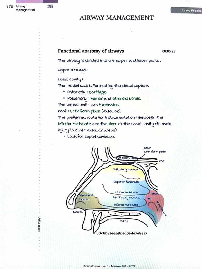 Airway Manag | PDF