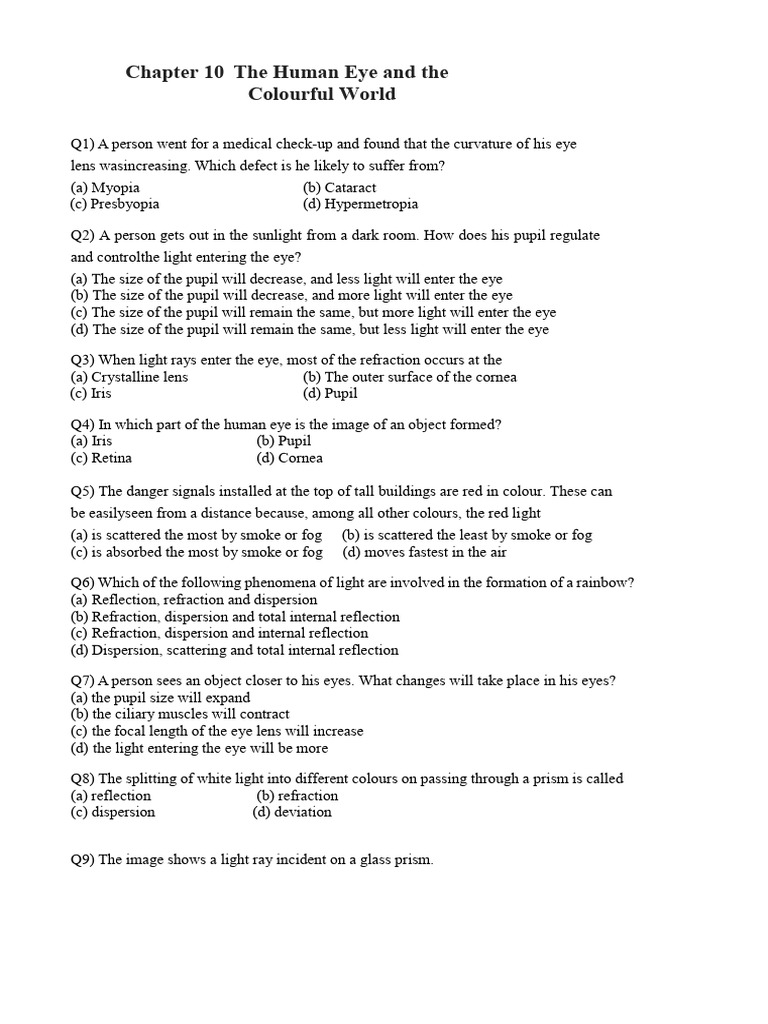 Understanding the Human Eye and Vision | PDF | Eye | Refraction