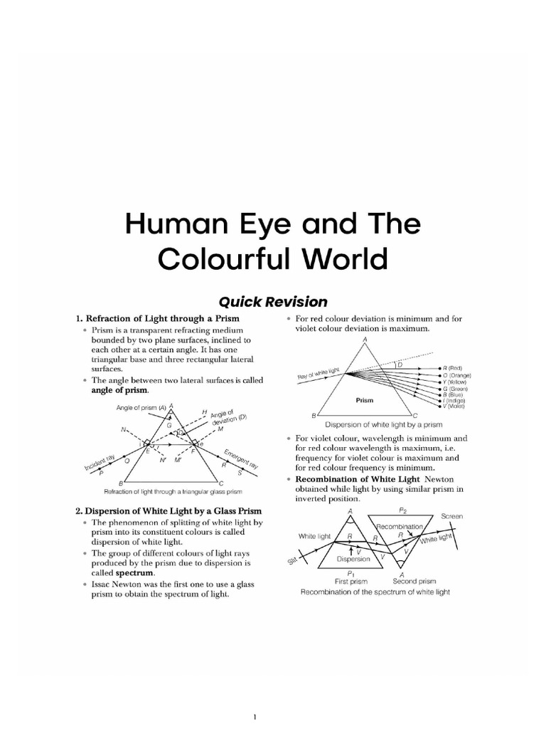 Human eye | PDF