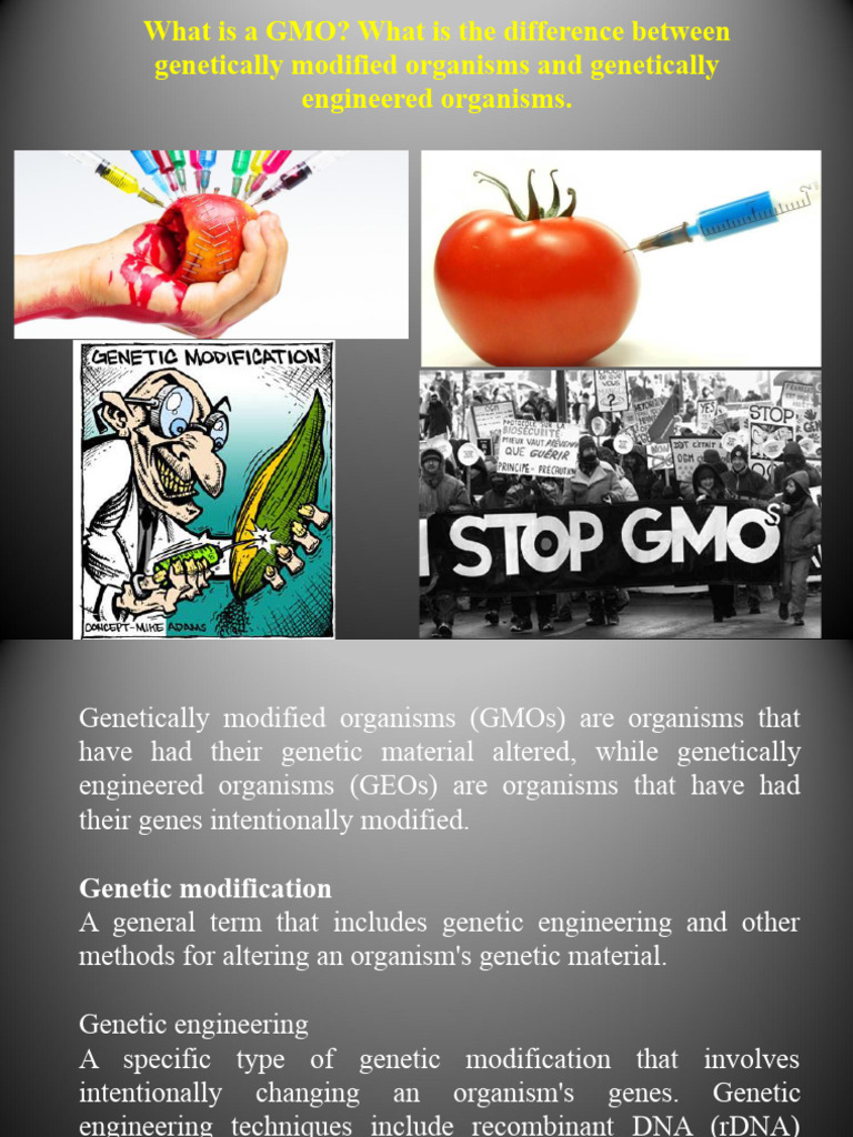 Understanding GMOs vs GEOs Explained | PDF | Genetically Modified ...