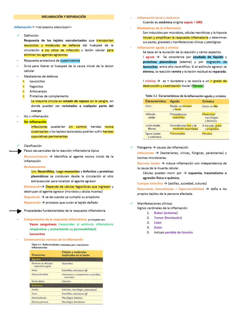 Inflamación y Reparación Cap 3 | PDF | Inflamación | Citocina