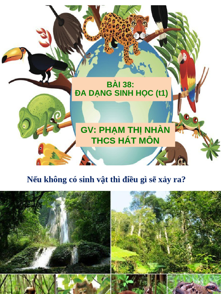 Bai 38 Da Dang Sinh Hoc T1 KHTN 6 | PDF