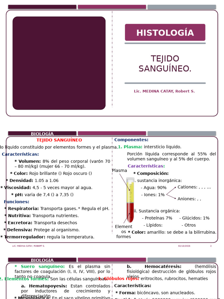 6.1 Tejido Sanguineo | PDF | Sangre | Tejido (biología)