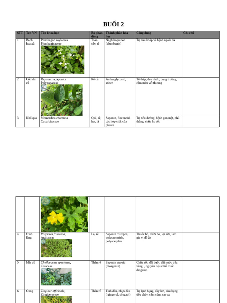 Ôn NTDL Bu I 2 - Có Hình | PDF