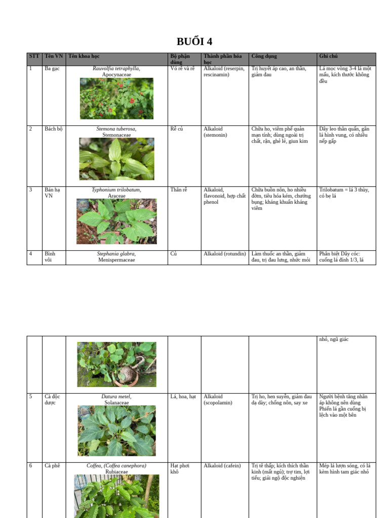 NTDL - Bài So N Bu I 4 - Có Hình | PDF