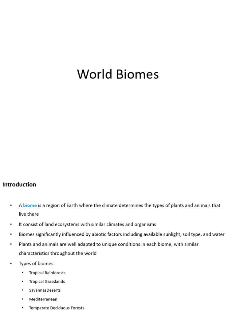 Understanding Tropical Rainforests | PDF | Rainforest | Tropics