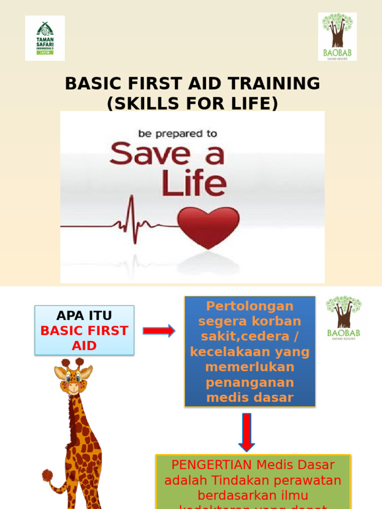 Basic First Aid Training | PDF