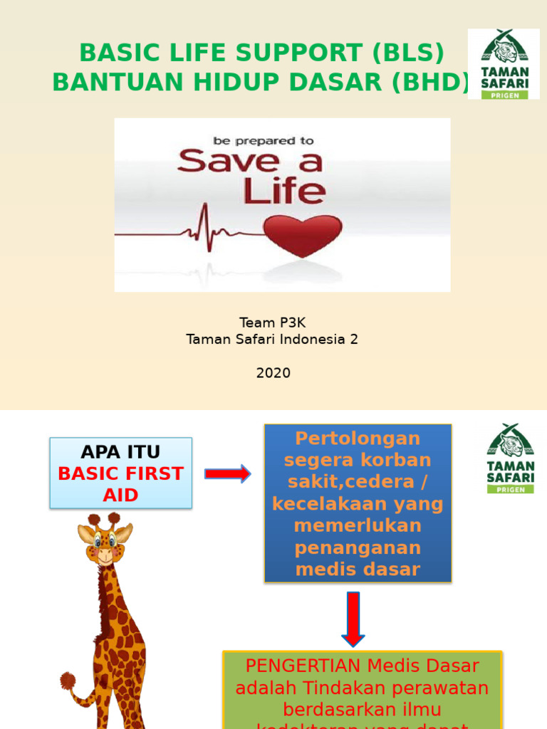 4. Basic Life Support (Bls) | PDF