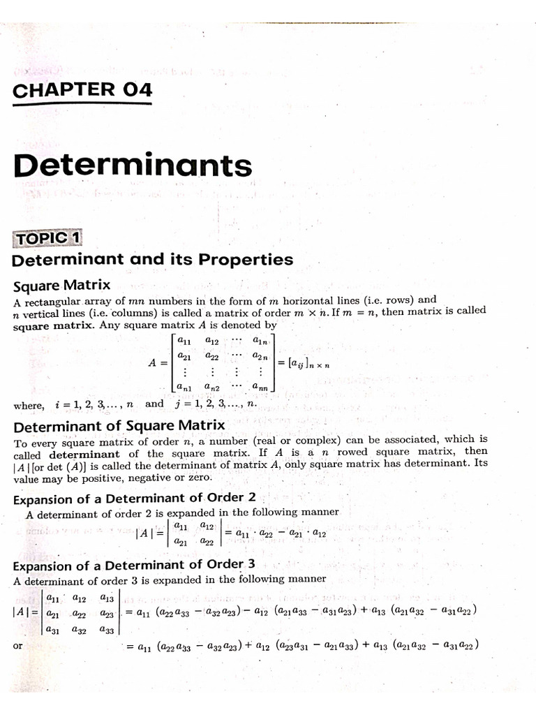 Determinants | PDF