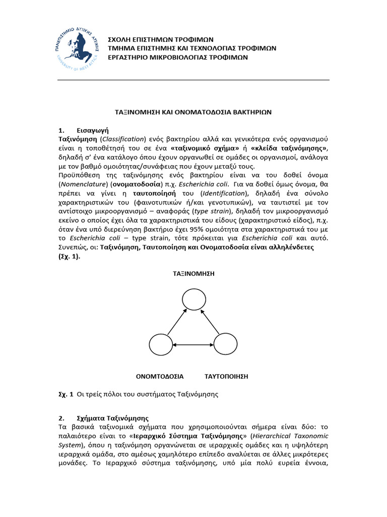 ΤΑΞΙΝΟΜΗΣΗ ΚΑΙ ΟΝΟΜΑΤΟΔΟΣΙΑ ΒΑΚΤΗΡΙΩΝ, e-class | PDF