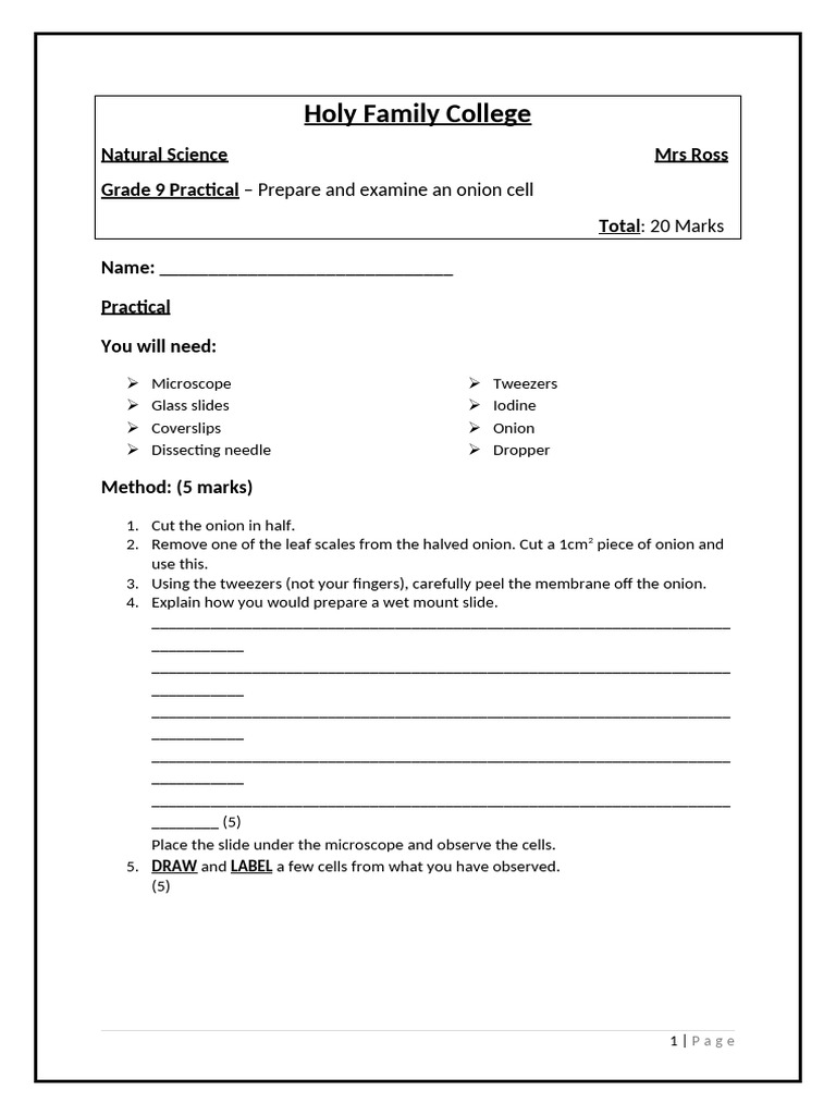 Onion Cell Practical for Grade 9 | PDF