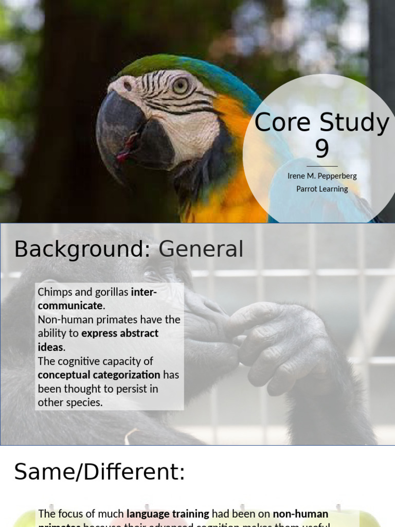 Parrot learning | PDF | Cognition | Cognitive Science