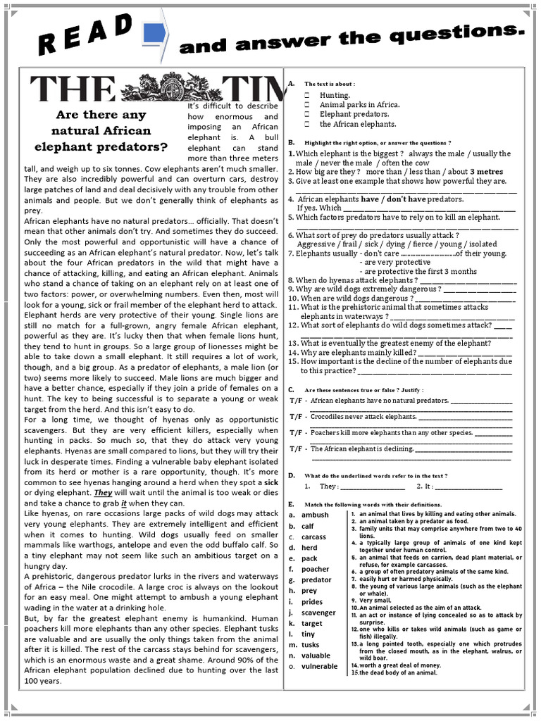 Are there any natural African elephant predators | PDF | Predation | Lion