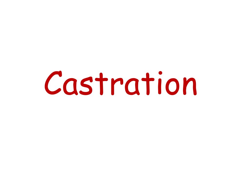 Castration | PDF | Testicle