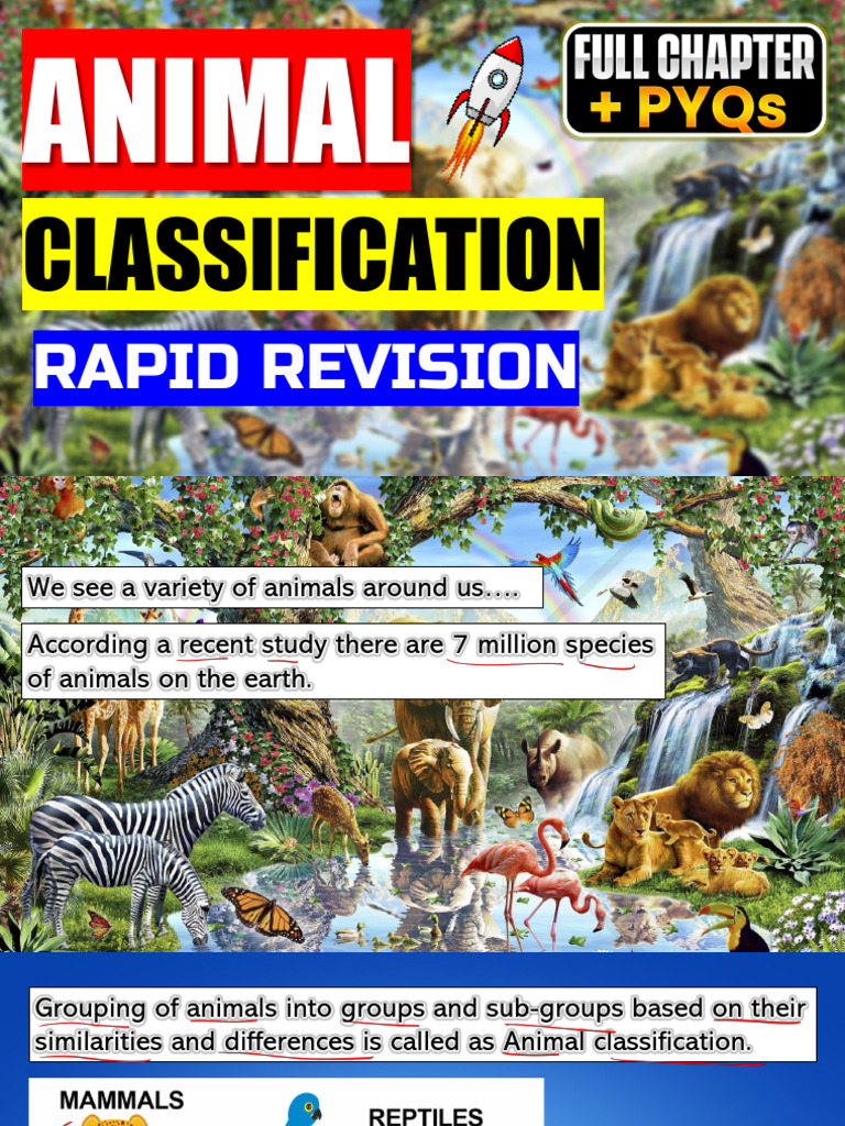 Animal: Classification | PDF | Zoology