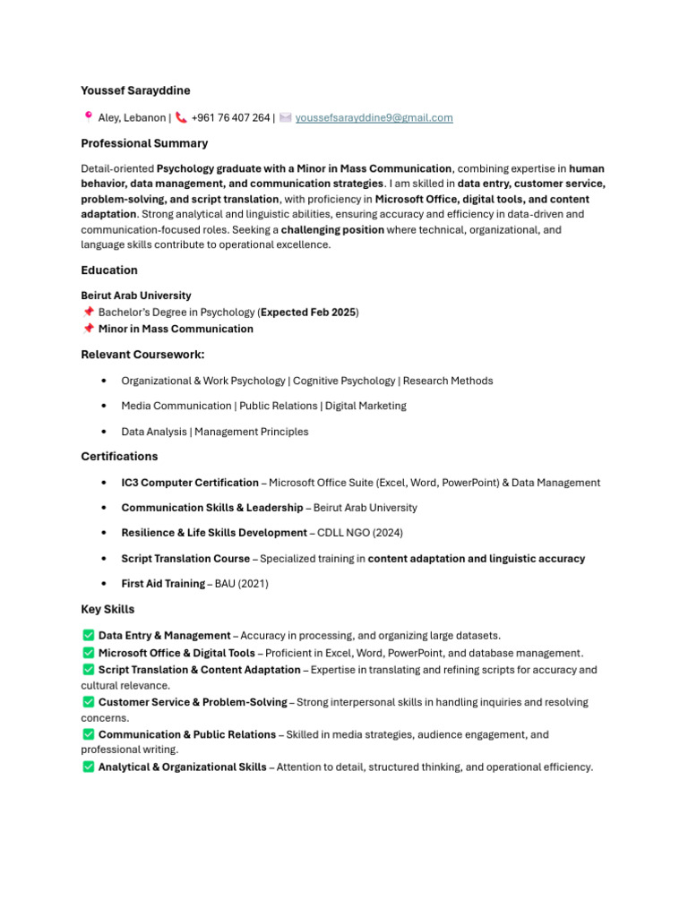 Youssef Sarayddine CV | PDF | Communication | Data