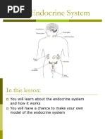 Endocrine System | PDF | Endocrine System | Hormone