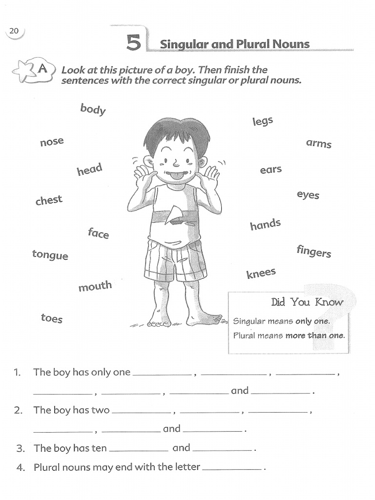 U5-Singular and Plural Nouns | PDF