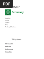 KPCOFGS Animal Classification Guide | PDF | Coyote | Canis