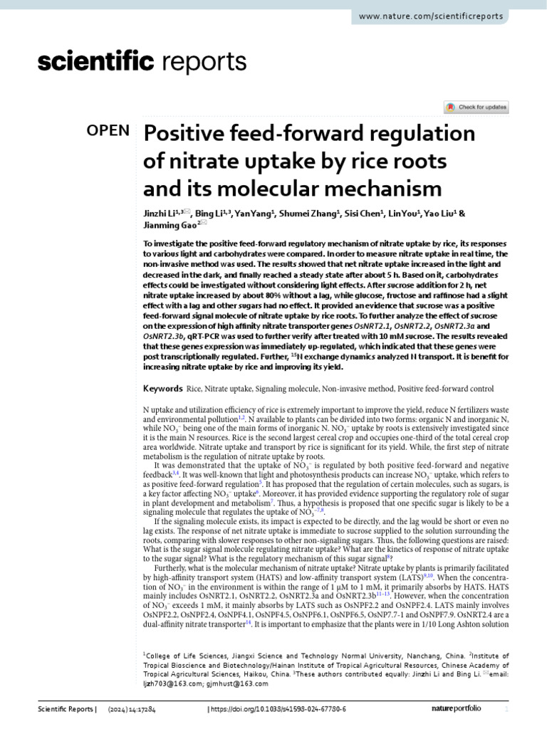 Positive Feed Forward Regulation of Nitrate Uptake by Rice Roots and ...