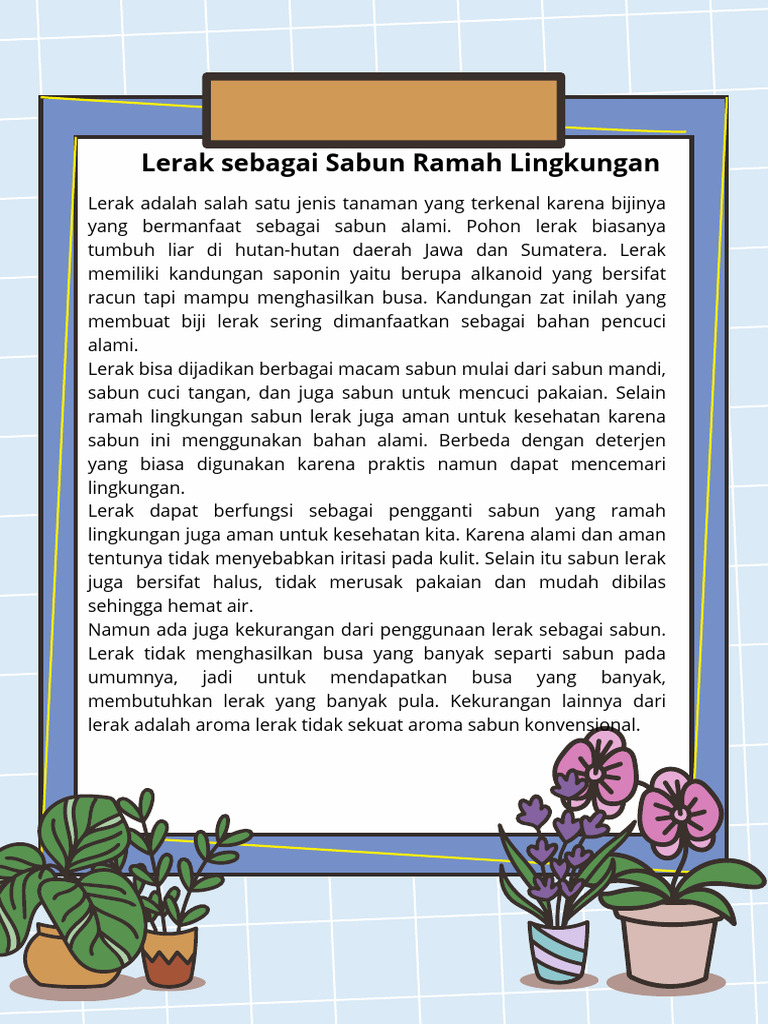 Lerak Adalah Salah Satu Jenis Tanaman Yang Terkenal Karena Bijinya Yang ...