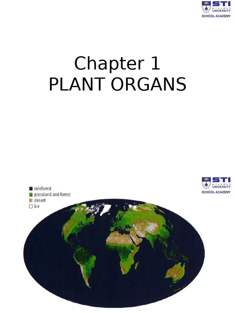 2.IG Unit 1 (Plant and Flower) | PDF | Flowers | Leaf