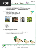 One Leg Bird Meme - Google Search | PDF