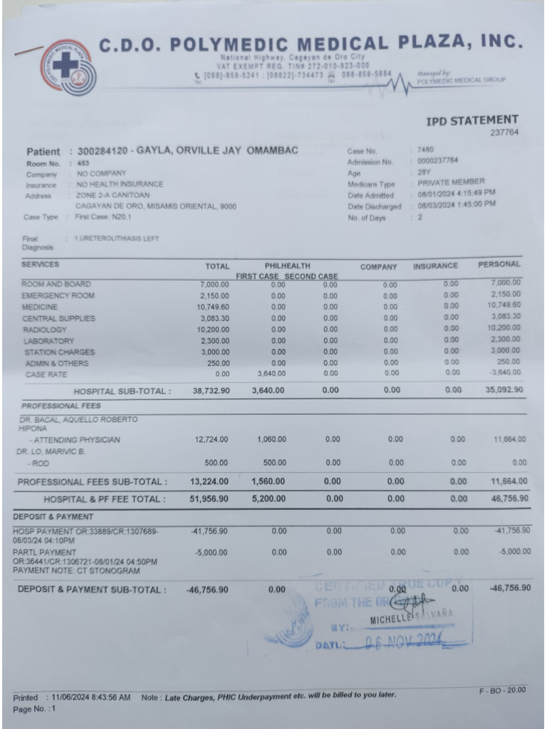 Itemized Statement | PDF