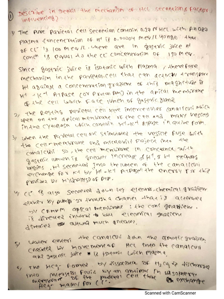 SDL Assignment | PDF