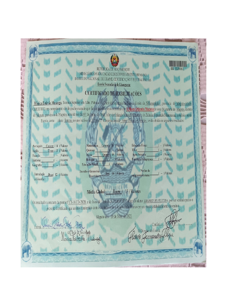 Certificado 12 | PDF