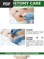 Bladder Training Protocol with Foley Catheter | PDF | Urinary ...