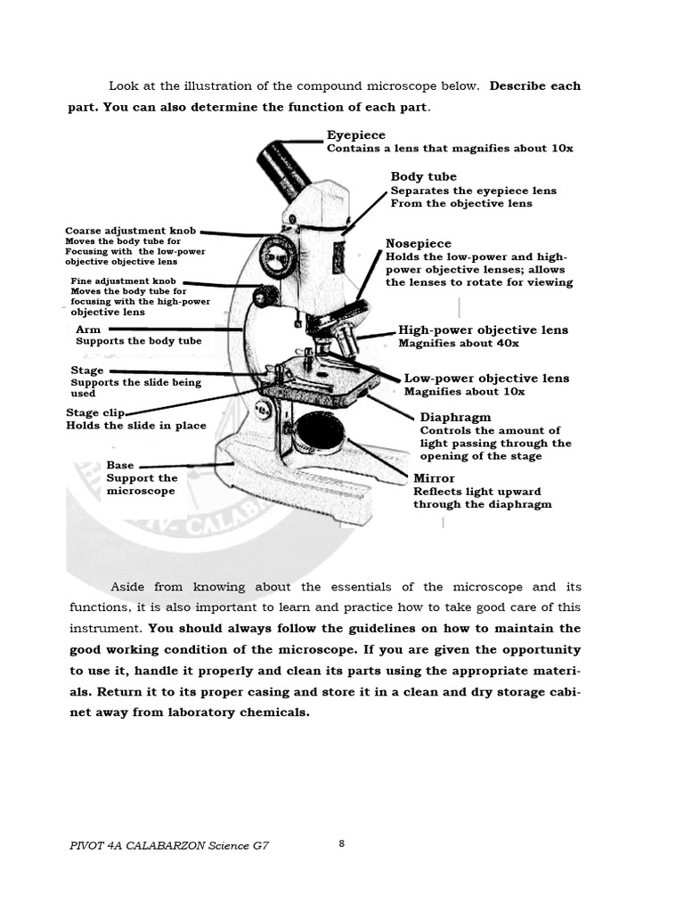 LT 1-4 Parts and Function of Microscope | PDF | Microscopy | Glass ...