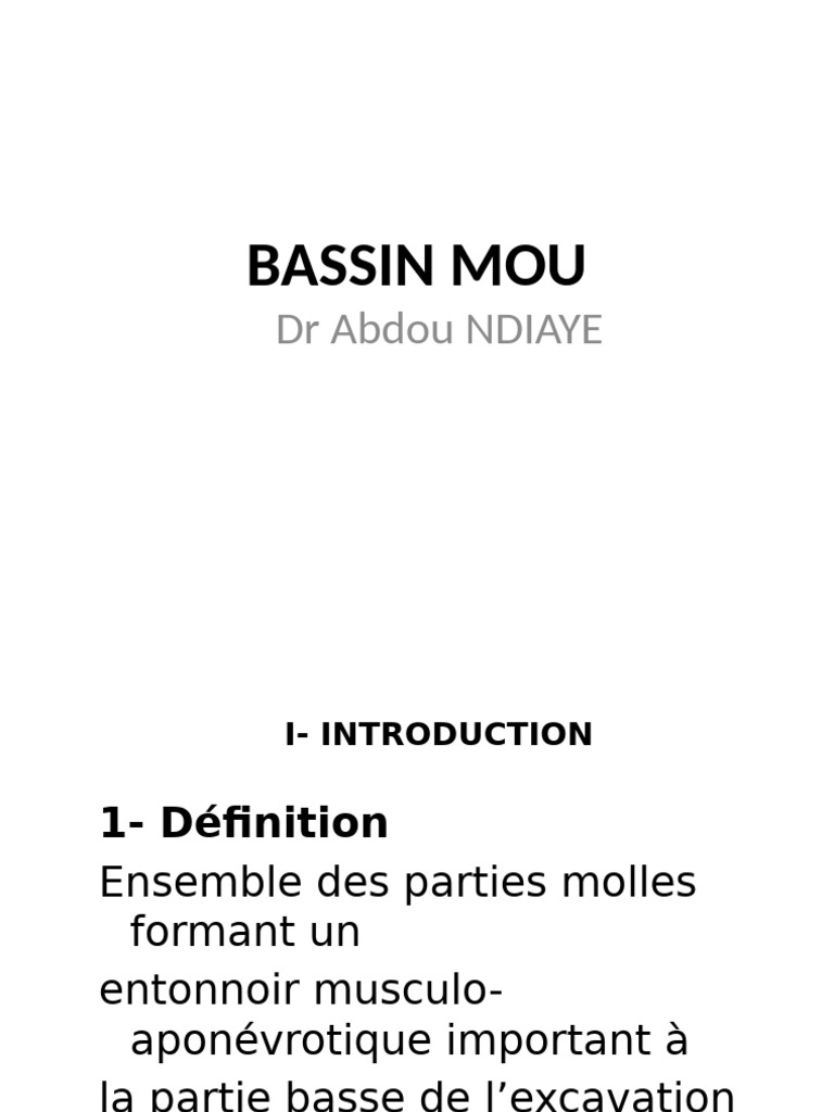 BASSIN MOU - Copie | PDF