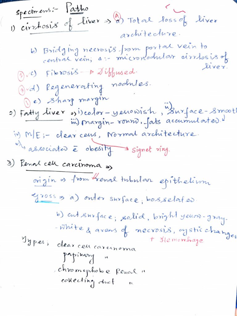 Specimen Patho - 250125 - 100054 2nd Year | PDF | Medical Specialties | Anatomy