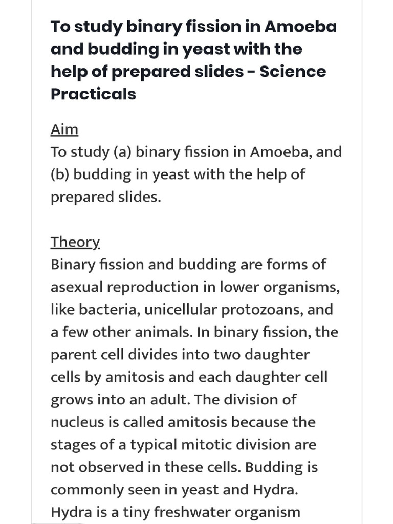 Class X Science (Biology) Practical 5 | PDF