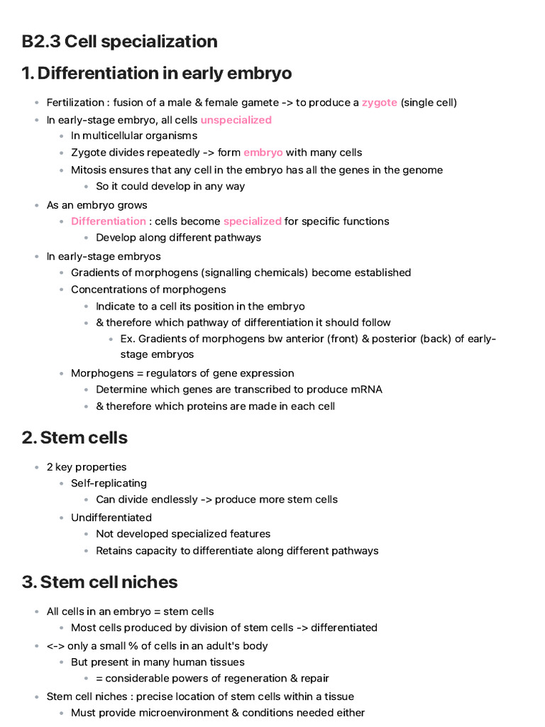 Cell Specialization and Stem Cells Explained | PDF | Cellular ...