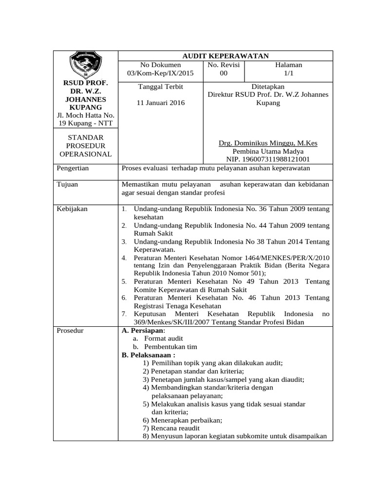 standar-operasional-audit-keperawatan-di-rsud-prof-dr-wz-johannes-kupang_compress | PDF