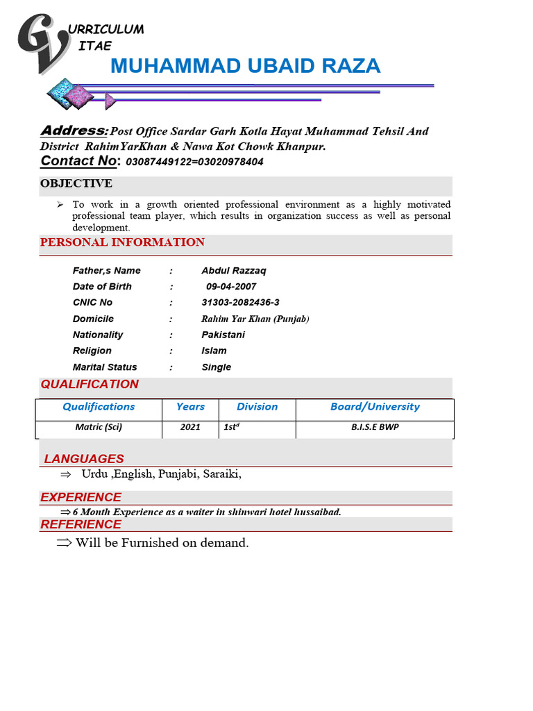 Muhammad Ubaid CV | PDF