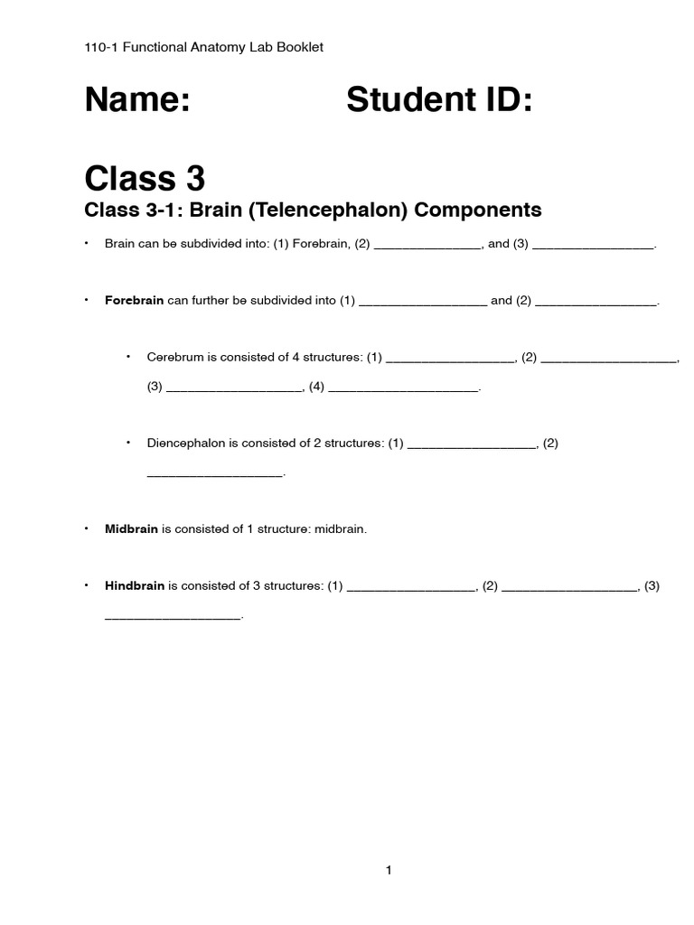 110 - 1 Functional Anatomy Lab - W3 - Q | PDF
