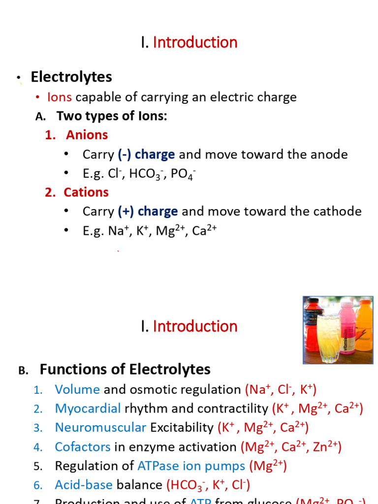 Electrolytes & Water Balance Basics | PDF | Calcium In Biology | Physiology