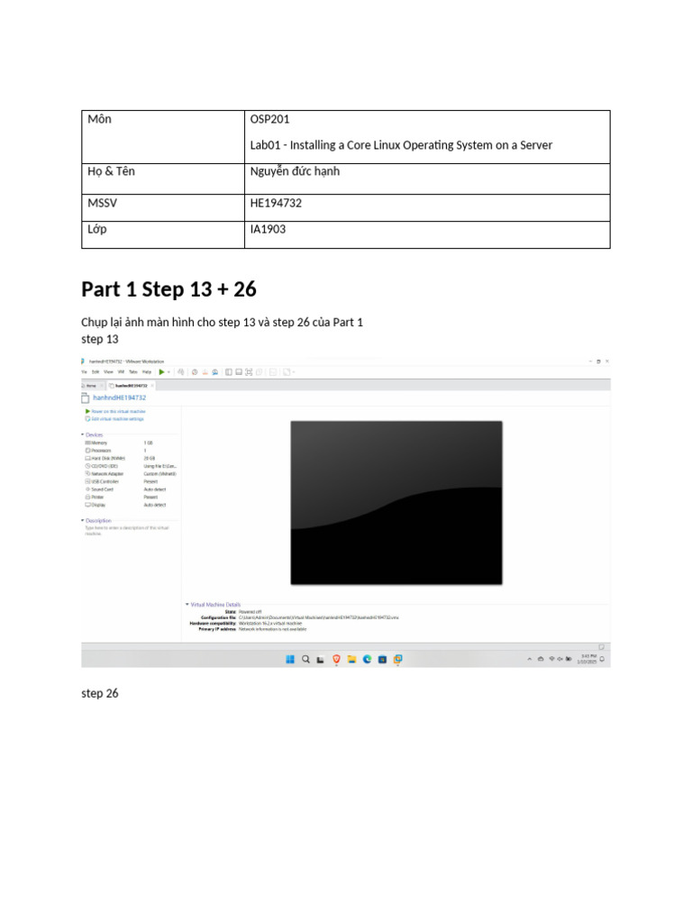 OSP201_Lab01 (3) | PDF