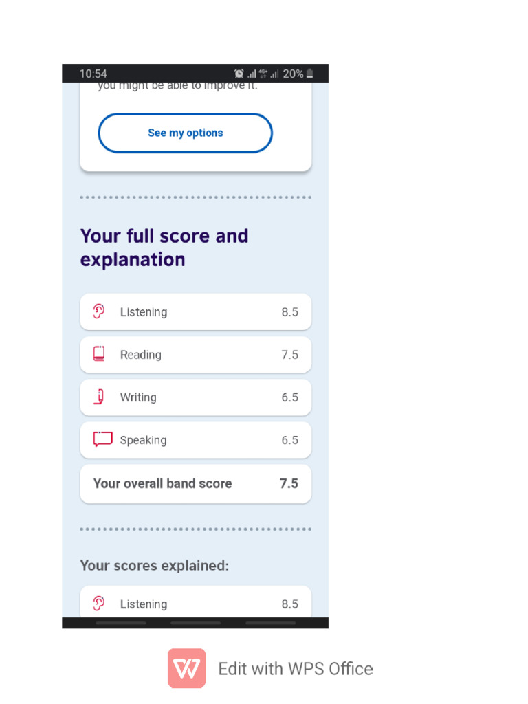 Document WPS Office | PDF