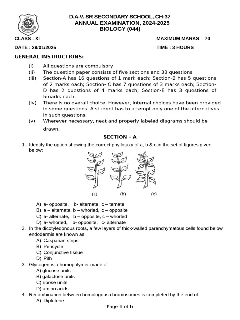 Class - XI - Biology - QP - PRE-ANNUAL | PDF | Cellular Respiration ...