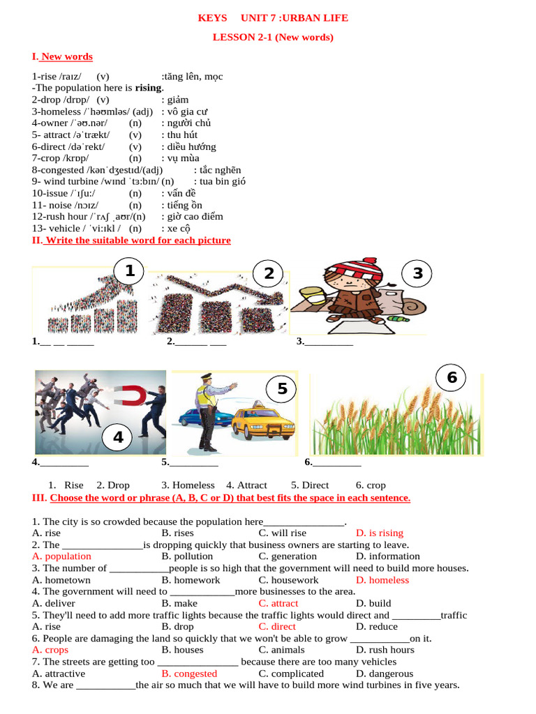 Key-UNIT 7-Lesson 2-ĐT | PDF | Verb | Adjective