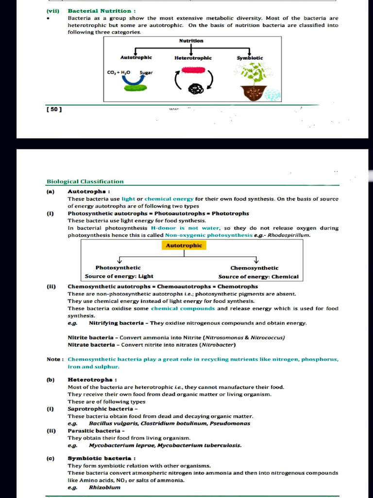 Chapter 2 Biological Classification | PDF | Bacteria | Cell (Biology)