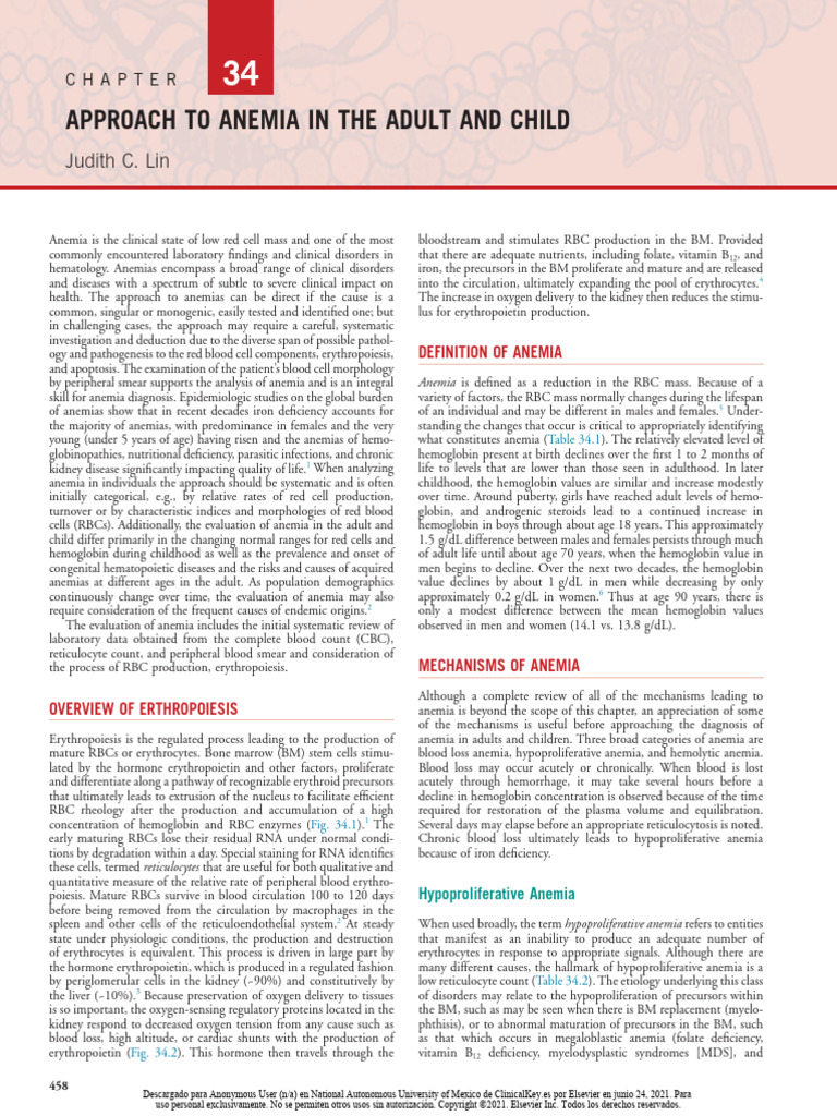 Approach To Anemia in The Adult and Child: Judith C. Lin | PDF | Anemia ...