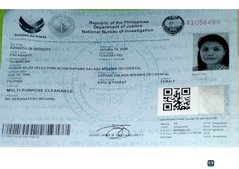 NBI CLEARANCE - Copy | PDF