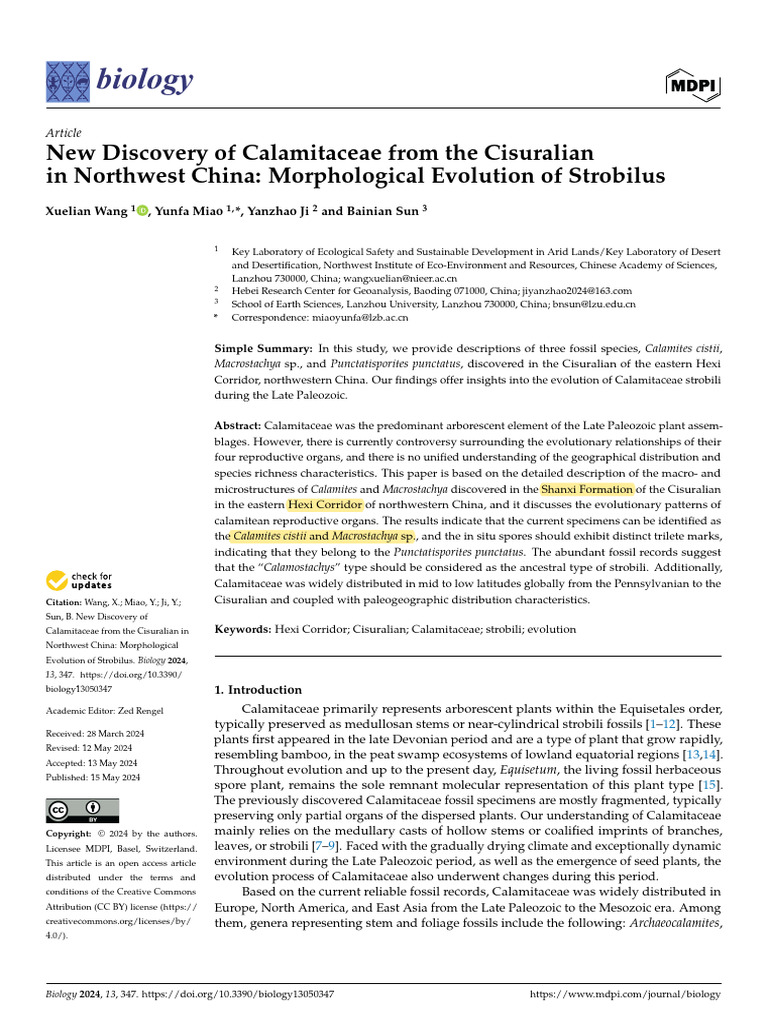Wang Et Al., - 2024 - Calamitaceae From the Cisuralian | PDF ...